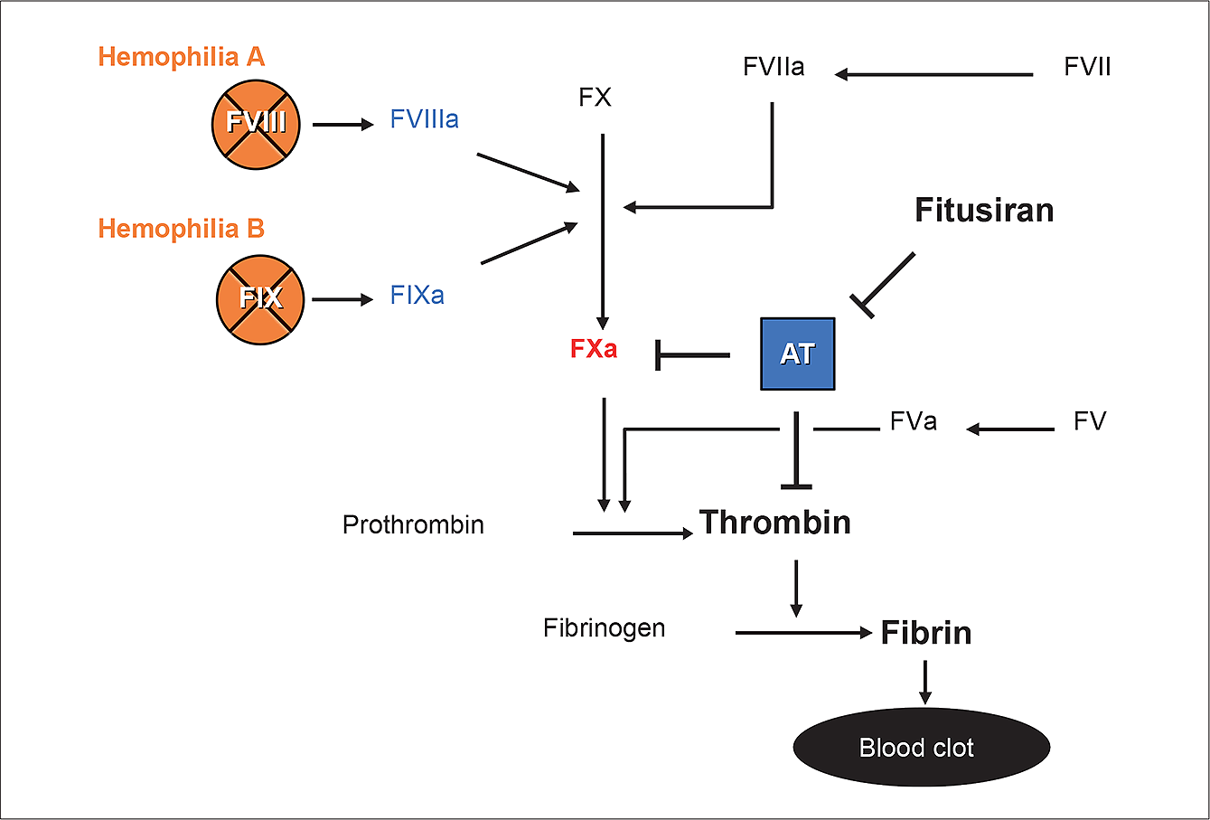 Highlights In Thrombosis And Haemostasis Bjh